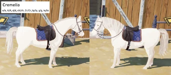 Cream (gene) | Horse Tales: Emerald Valley Ranch Wiki | Fandom