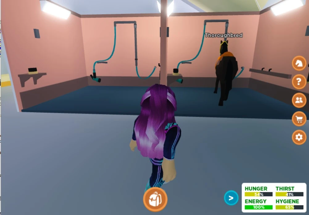 Hygiene | Horse Valley 2 ROBLOX Wiki | Fandom