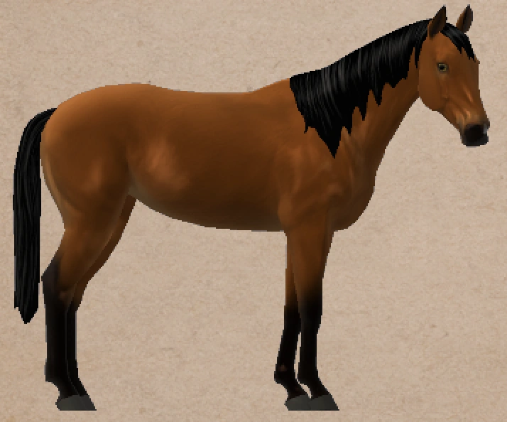 Thoroughbred - Stayer Type | Horse Isle 3 Infinite Wilds Wiki | Fandom