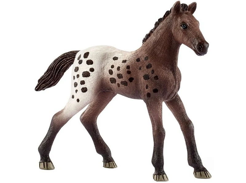 Schleich Appaloosa Foal (13862) | Horse Figure Archive Wiki | Fandom