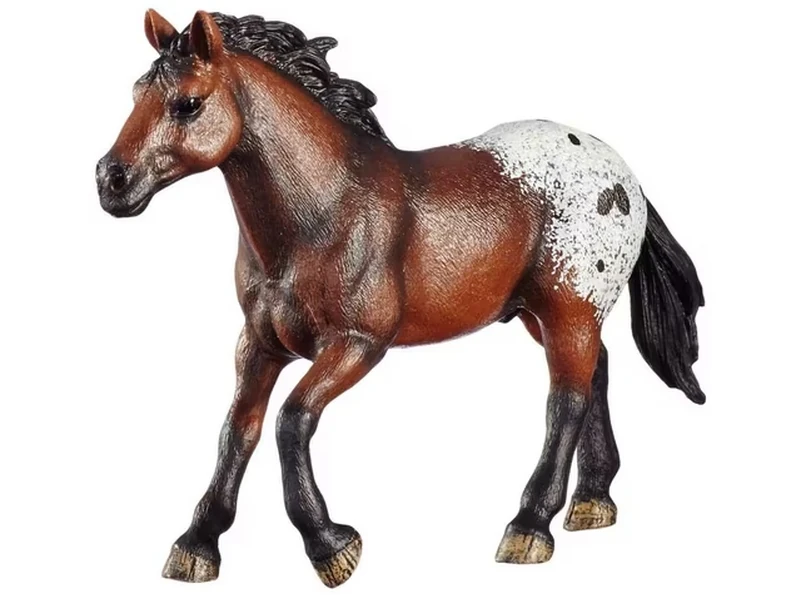 Schleich Appaloosa Stallion (13732) | Horse Figure Archive Wiki | Fandom