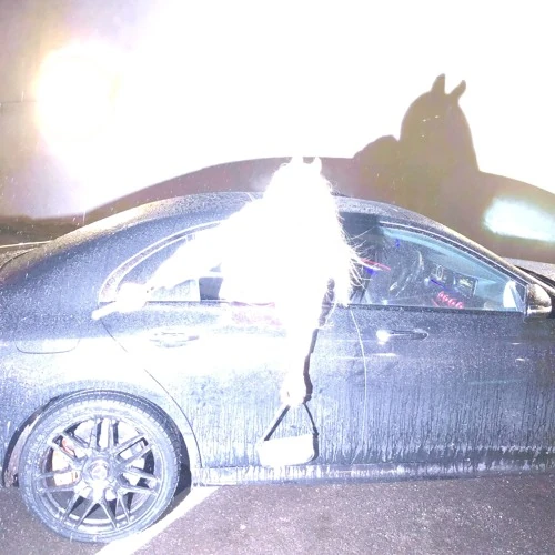 Praise The Farm | HorsegiirL Wiki | Fandom