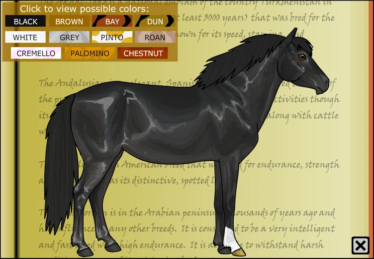 Java Pony | Horse Isle 1 Wiki | Fandom