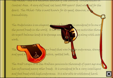 Fireball tack set | Horse Isle 1 Wiki | Fandom