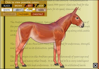 Mule | Horse Isle 1 Wiki | Fandom