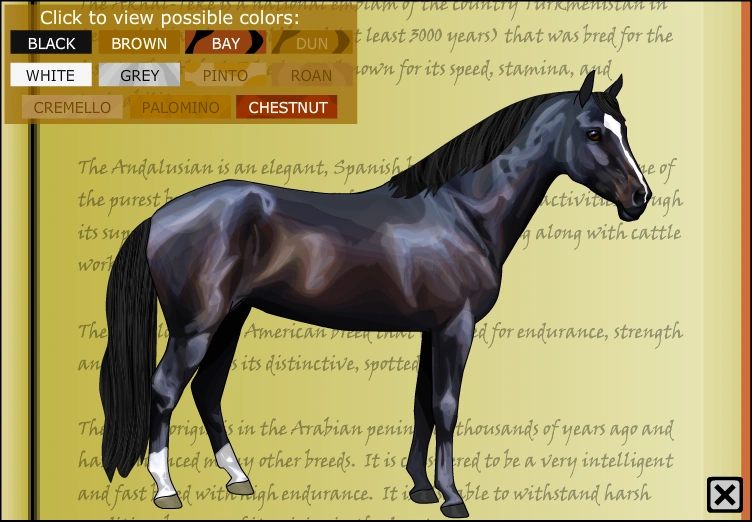 Nonius | Horse Isle 1 Wiki | Fandom