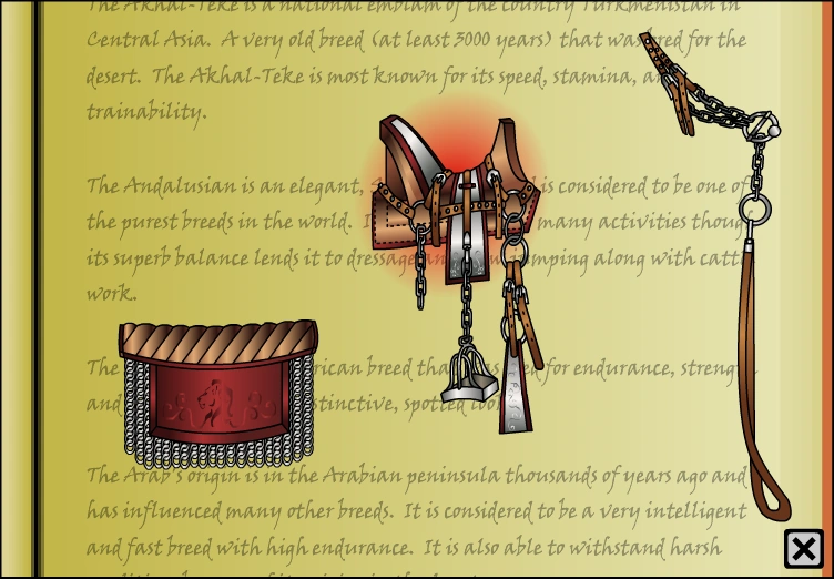 Hercules tack set | Horse Isle 1 Wiki | Fandom