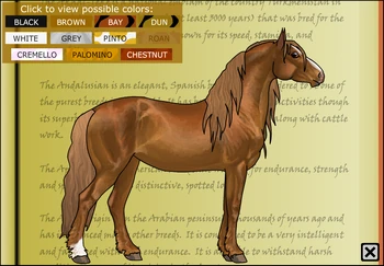 Warlander | Horse Isle 1 Wiki | Fandom