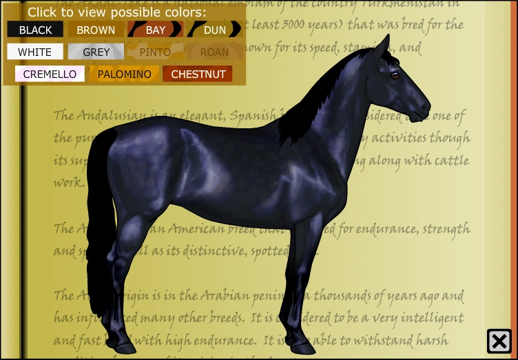 Persano | Horse Isle 1 Wiki | Fandom