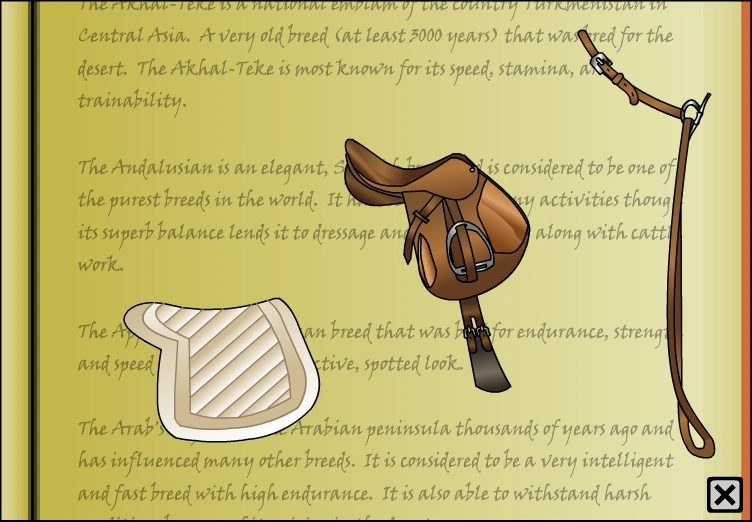 Jumping tack set | Horse Isle 1 Wiki | Fandom