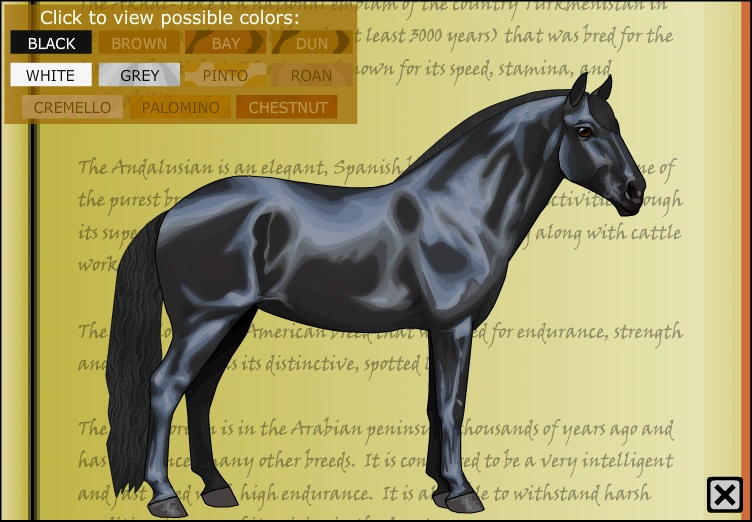 Kladruby | Horse Isle 1 Wiki | Fandom