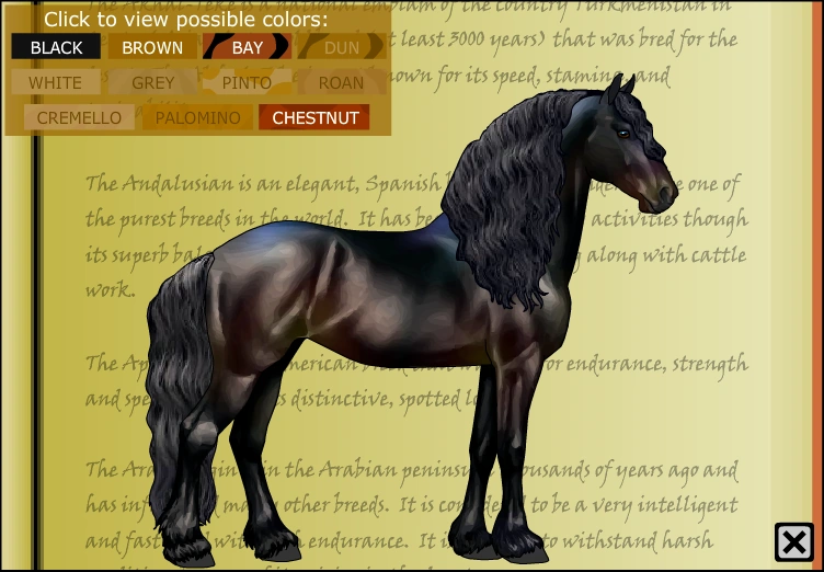 Bay Friesian Horse