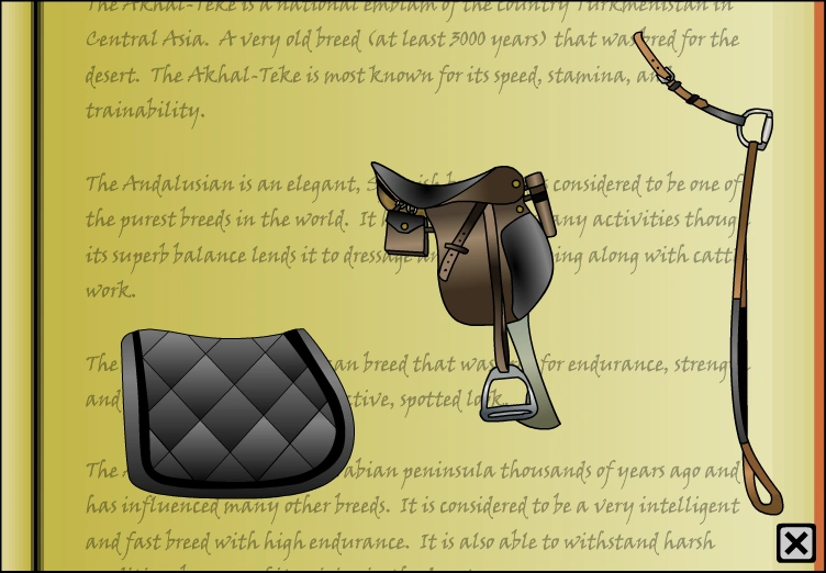Black Hunting tack set | Horse Isle 1 Wiki | Fandom