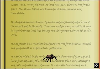 Spider | Horse Isle 1 Wiki | Fandom