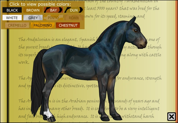 Norman Cob | Horse Isle 1 Wiki | Fandom