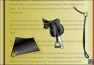 RCMP tack set | Horse Isle 1 Wiki | Fandom