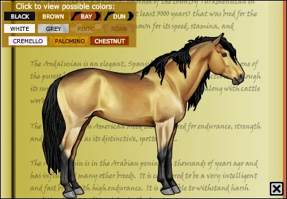 Mexican Azteca Horse