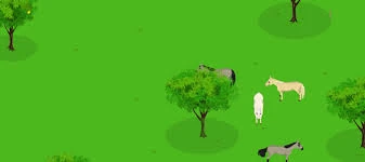 Wild horses | Horse Isle 2 Help Wiki | Fandom