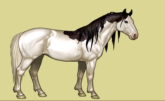 Abaco Barb | Horse Isle 2 Help Wiki | Fandom
