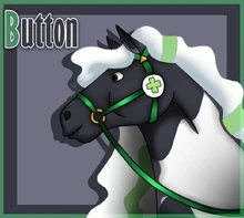 horseland button