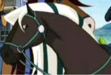 horseland bucephalus