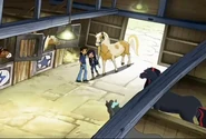 Bailey Handler | Horseland Wiki | Fandom