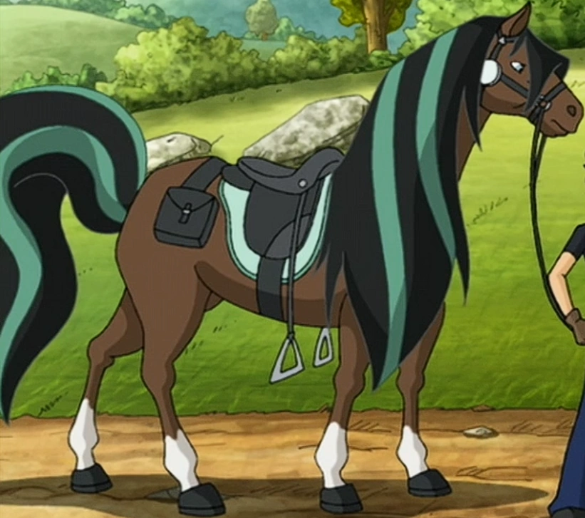 Wonder | Horseland Wiki | Fandom