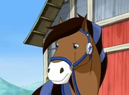 Aztec | Horseland Wiki | Fandom