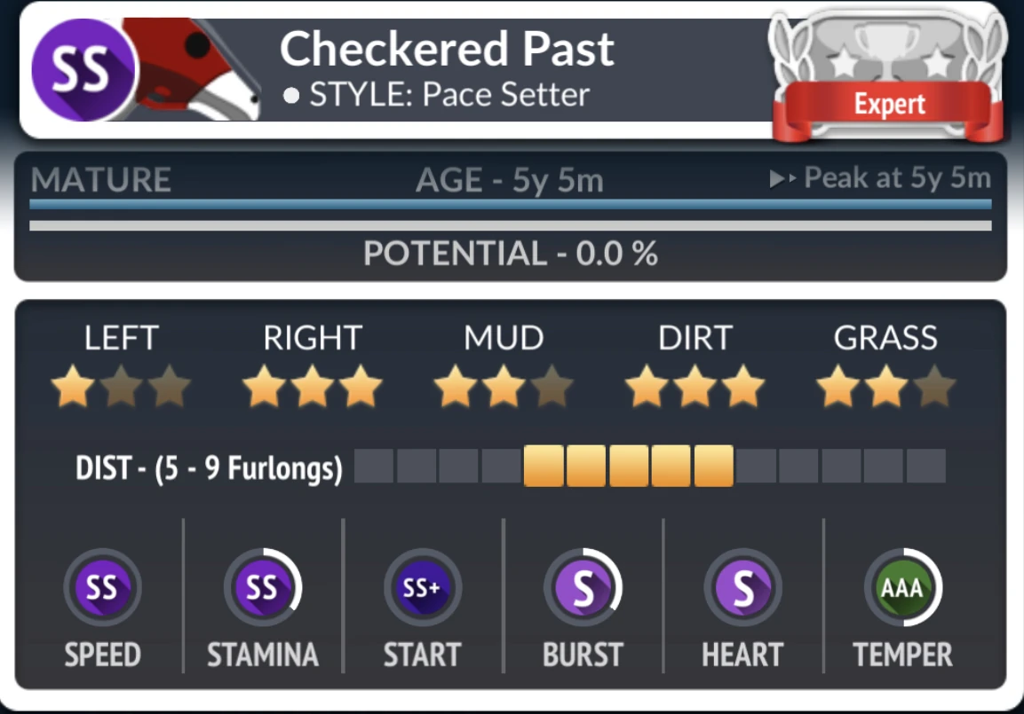 Checkered Past | HorseRacingManager Wiki | Fandom