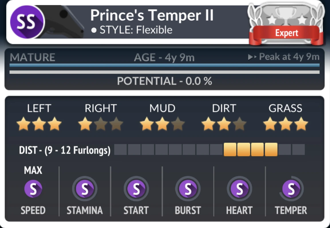 Princes Temper II | HorseRacingManager Wiki | Fandom