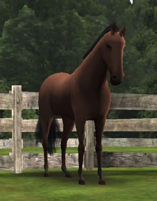 Wild Bay | HorseRacingManager Wiki | Fandom