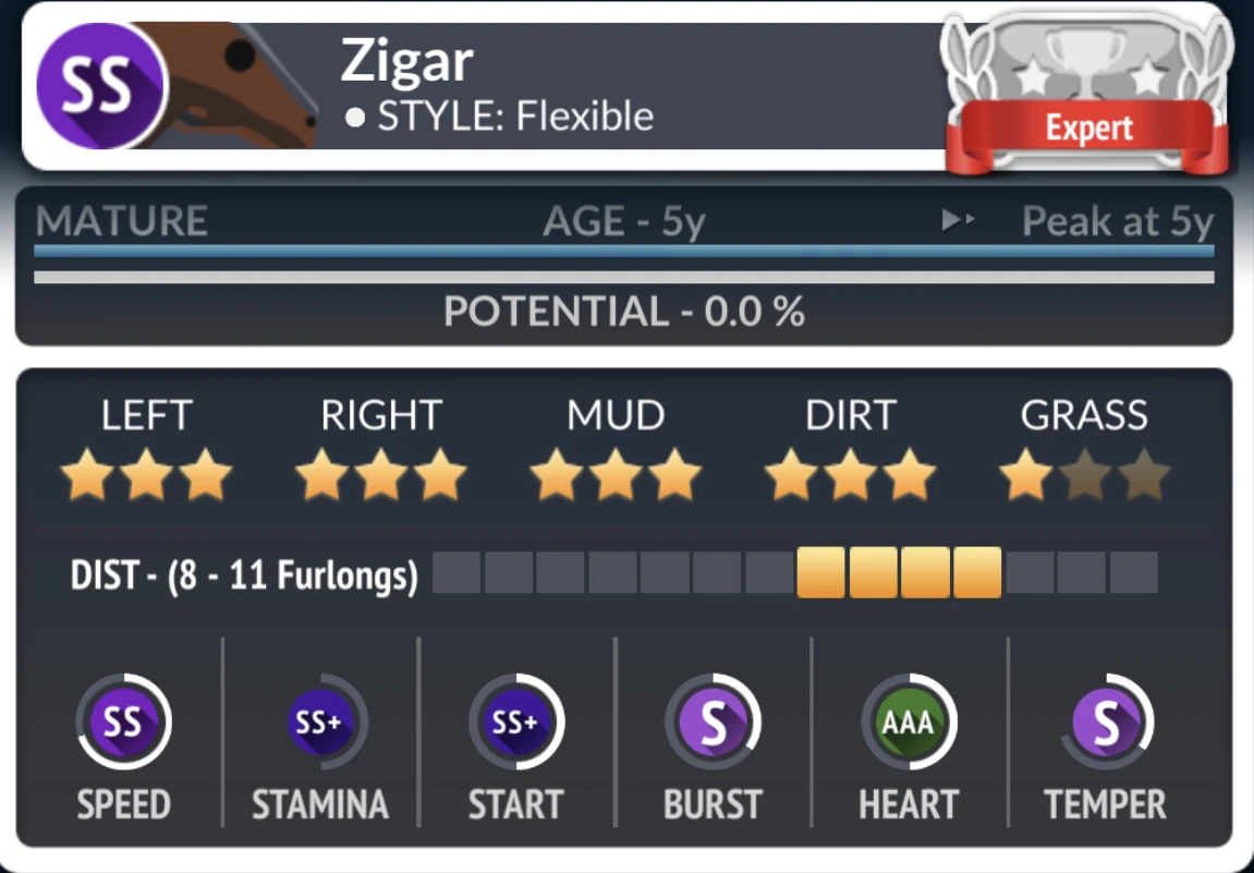 Zigar | HorseRacingManager Wiki | Fandom