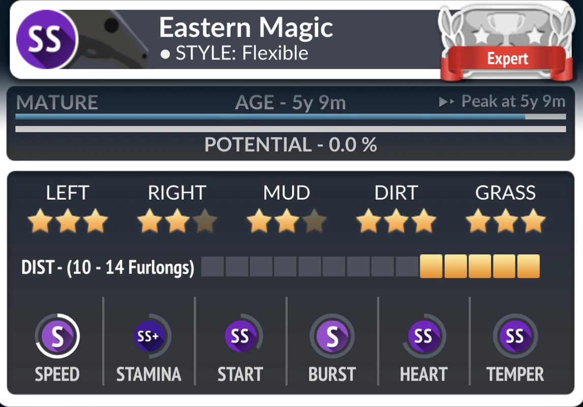 Eastern Magic | HorseRacingManager Wiki | Fandom