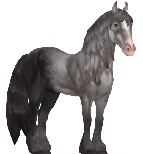 Dapple Grey Friesian Cross | Horse Riding Tales Wiki | Fandom