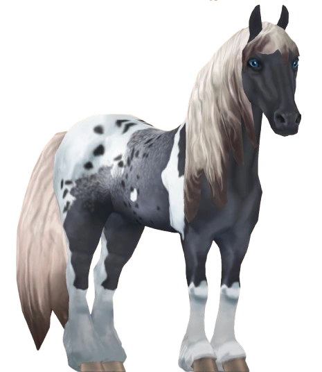 Pintaloosa Friesian Cross | Horse Riding Tales Wiki | Fandom