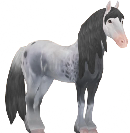 White Appaloosa Friesian Cross | Horse Riding Tales Wiki | Fandom