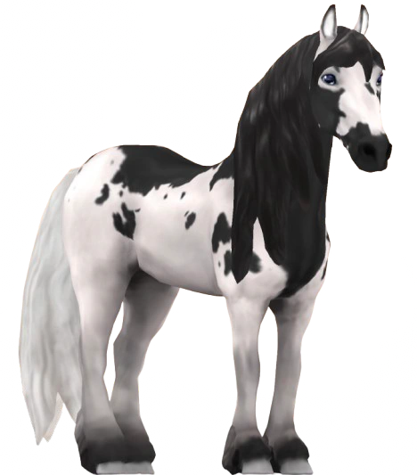 Piebald Friesian Cross | Horse Riding Tales Wiki | Fandom