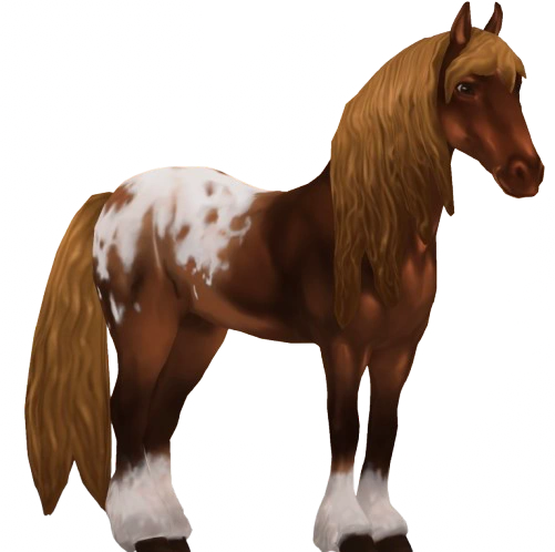 Blanket Chestnut Friesian Cross | Horse Riding Tales Wiki | Fandom