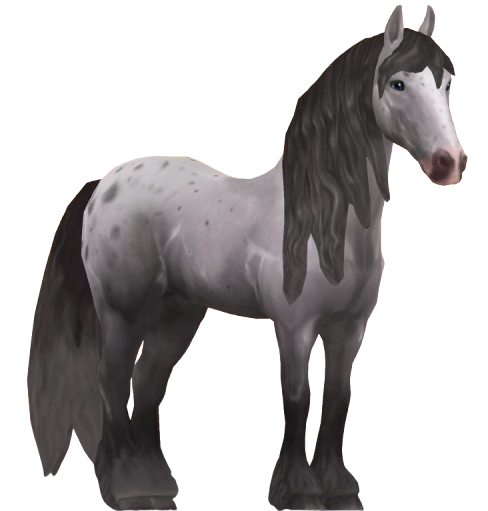 Roan Grey Appaloosa Friesian Cross | Horse Riding Tales Wiki | Fandom
