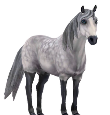 how to draw a dapple grey horse
