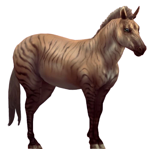 Tan Zebra | Horse Riding Tales Wiki | Fandom
