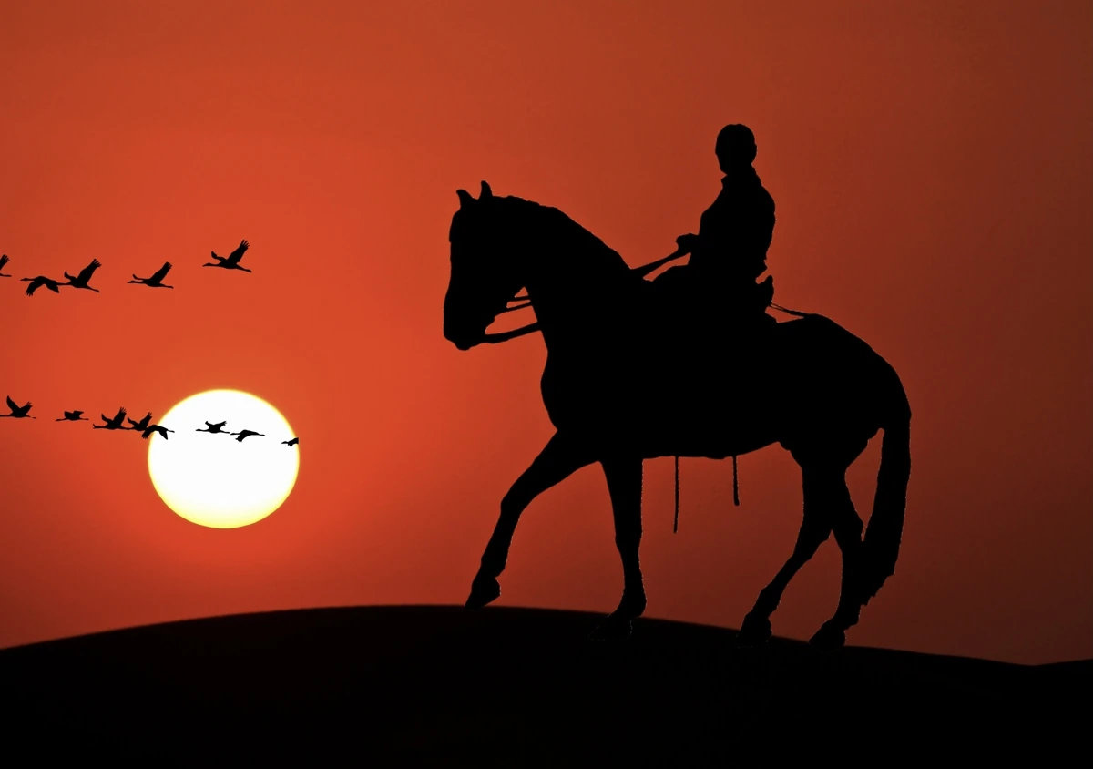 Tijo | Horses of the Dawn Wiki | Fandom