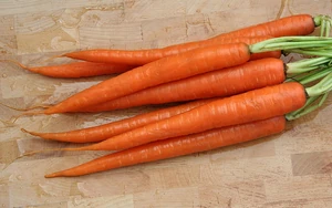 Growing Carrots | Horticulture and Soil Science Wiki | Fandom