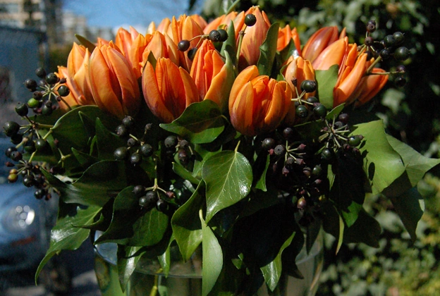 Floriculture | Horticulture and Soil Science Wiki | Fandom