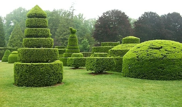 Ornamental Horticulture | Horticulture and Soil Science Wiki | Fandom