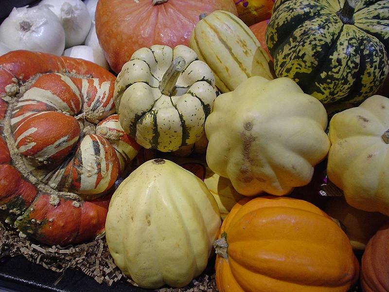 Growing Squash | Horticulture and Soil Science Wiki | Fandom