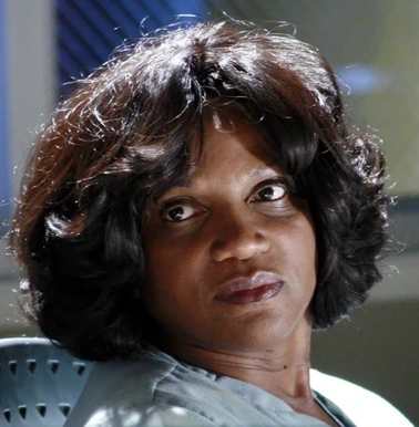 Elizabeth Fallon | Hospital Dramas Wiki | Fandom