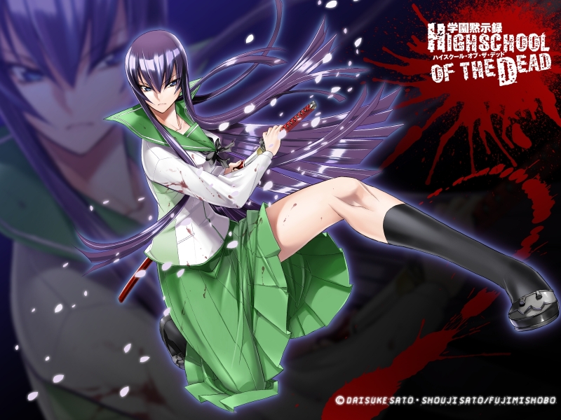 Saeko Busujima Hotd Wiki Fandom