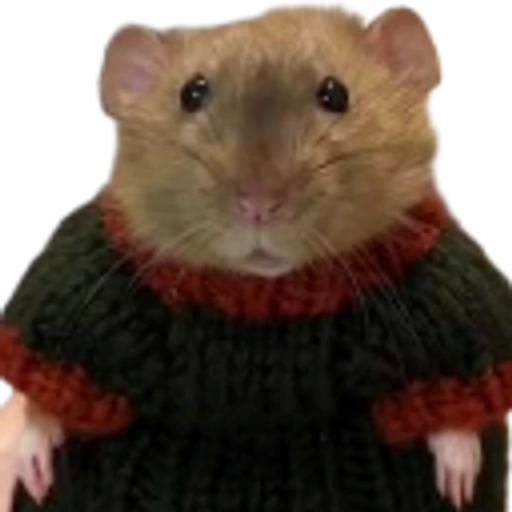 The Dooler | Hot Dad Wiki | Fandom