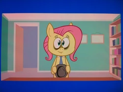 Hotdiggedydemon Fluttershy